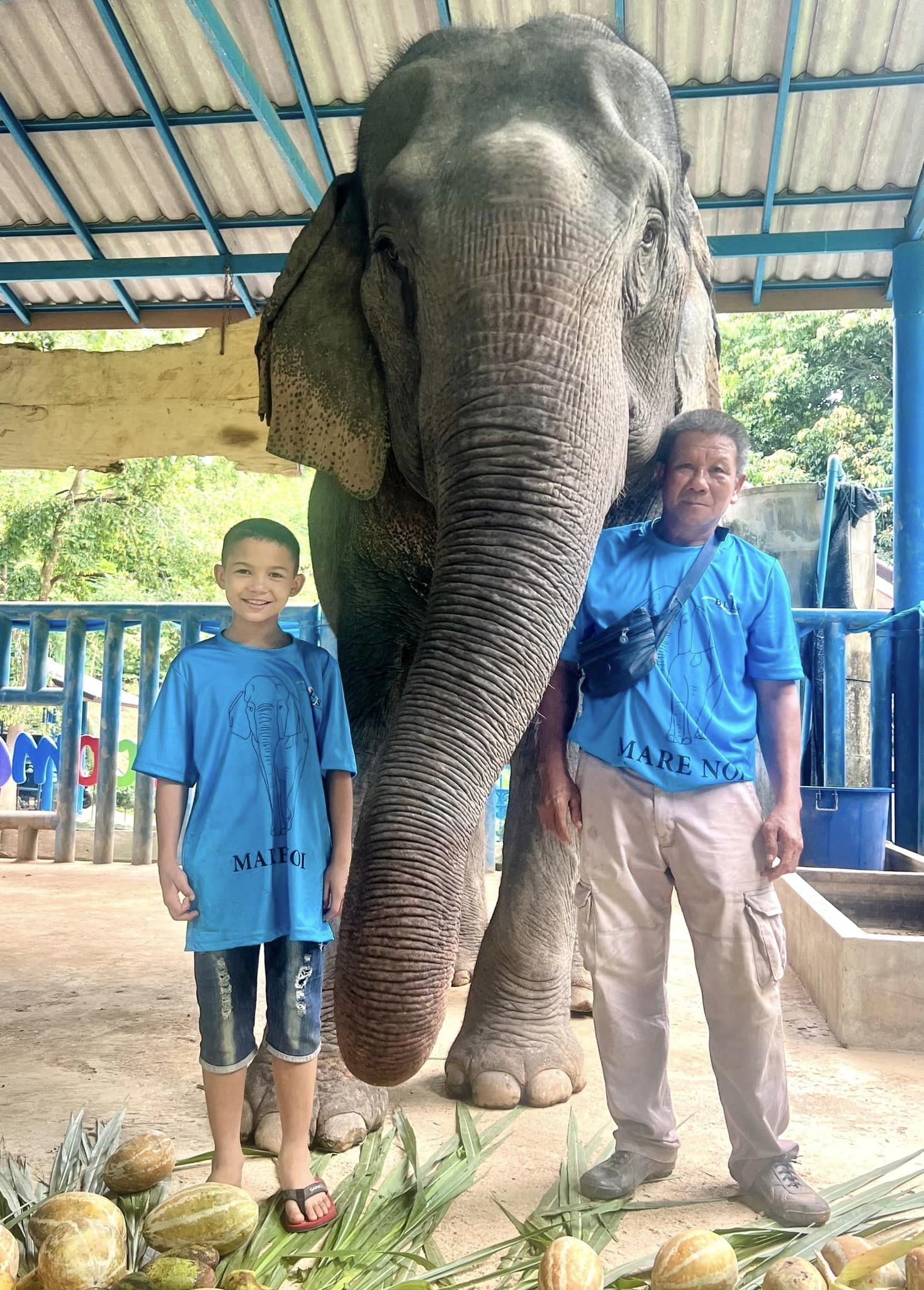 Elephant freed from captivity walks without chains for first time in 41 ...