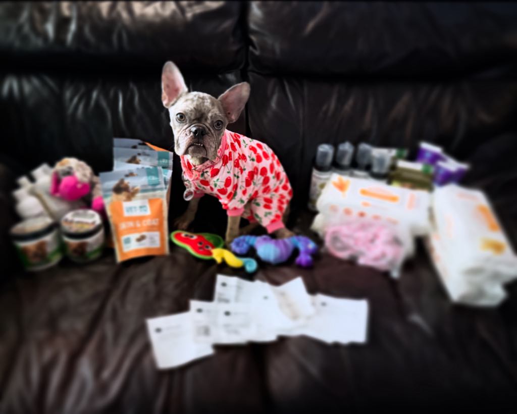 Tiny fighter with huge heart making steady strides in her recovery ...