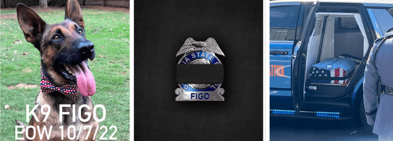 Police K9 killed by murder suspect - Pet Rescue Report