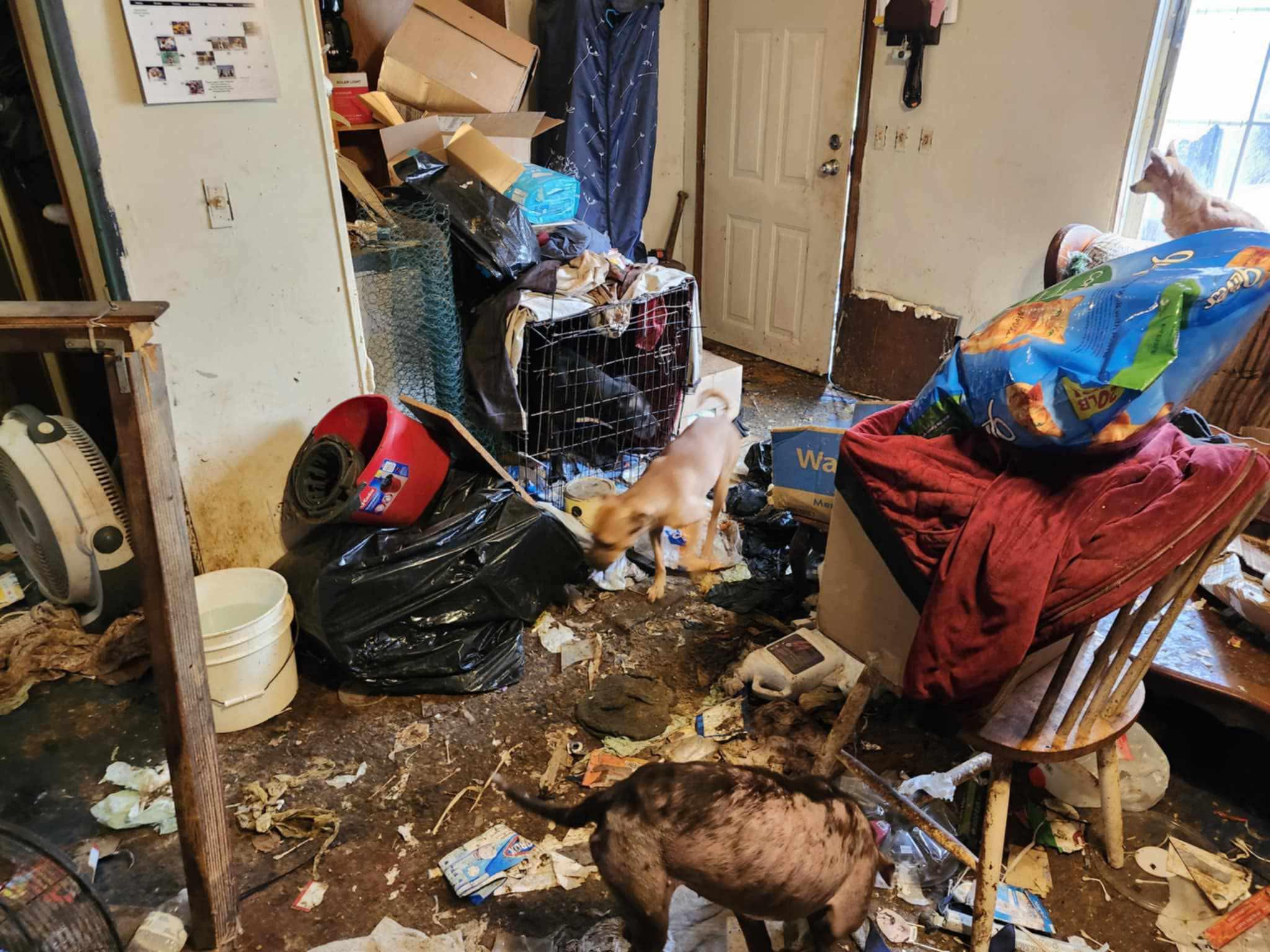 Arkansas rescue calls out 'I need help' as more than 30 severely ...