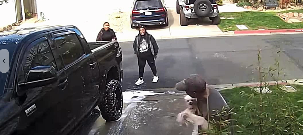 UPDATE: Pittsburgh police arrest duo shown in 'disturbing' dog kicking ...