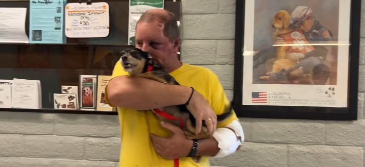 Most heartwarming story of the day as driver and dog reunited after car ...