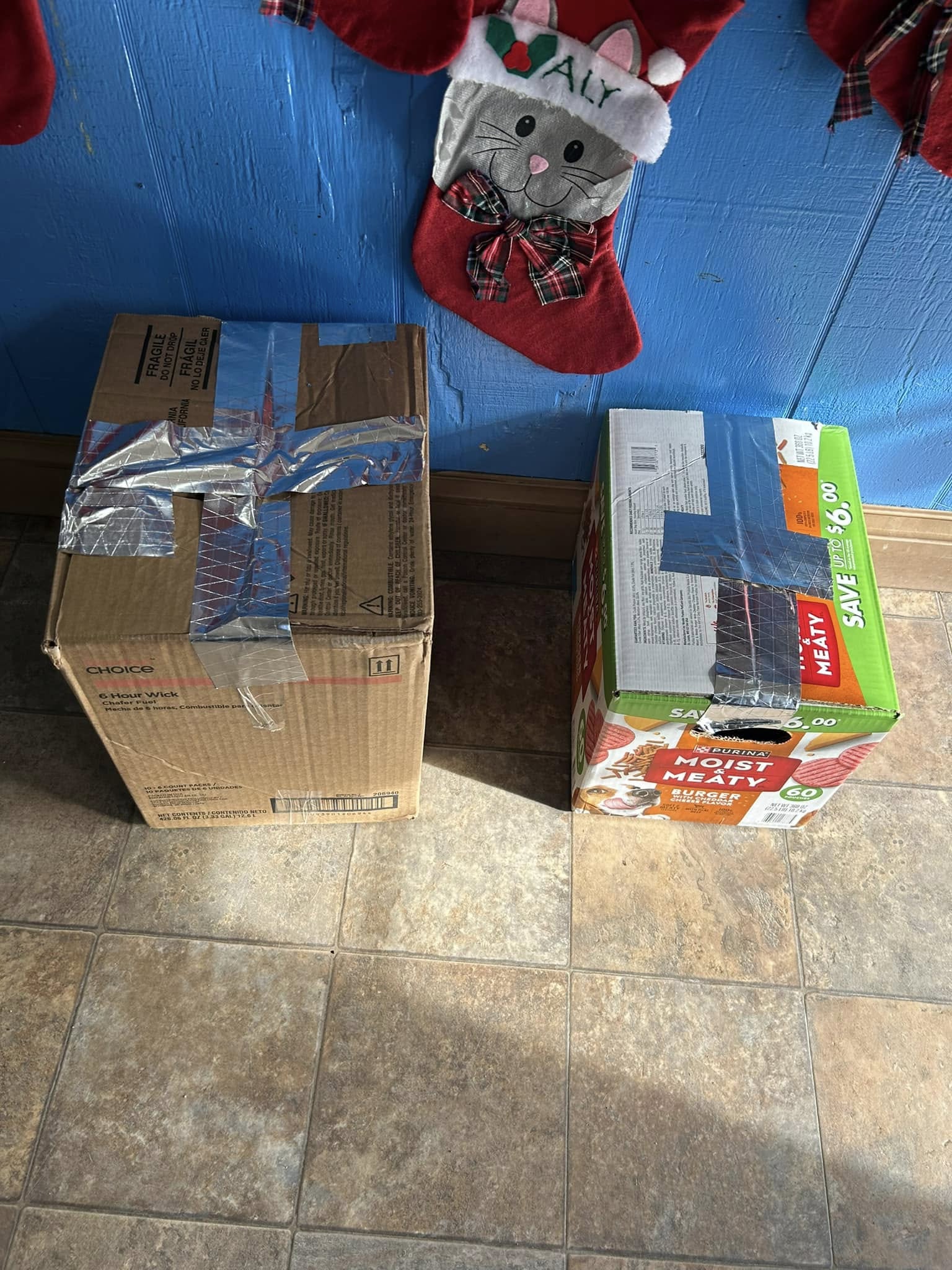 $5,000 reward offered for information on dogs found in taped boxes ...