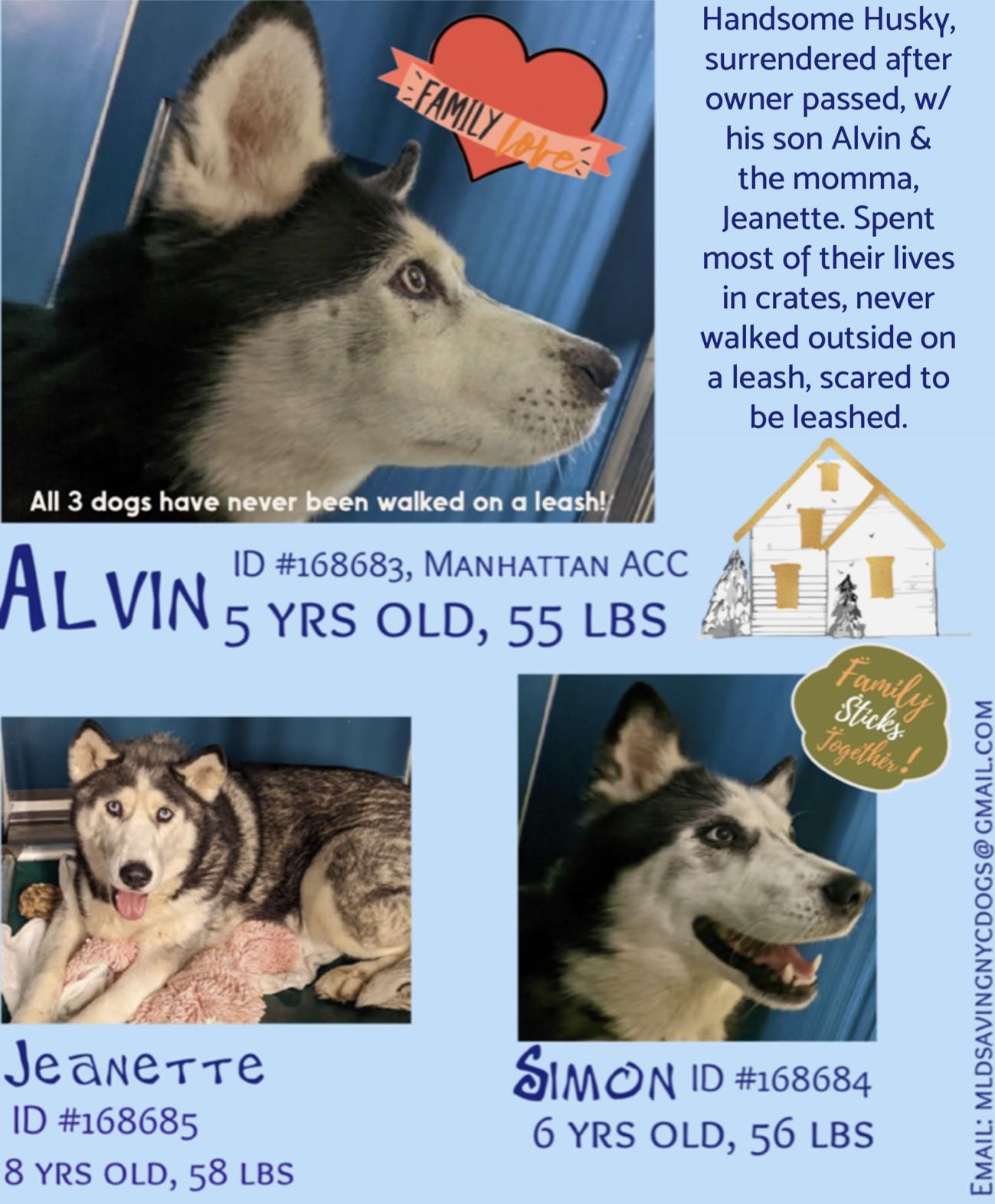 Three huskies lived in crates all their lives and are now on death row ...